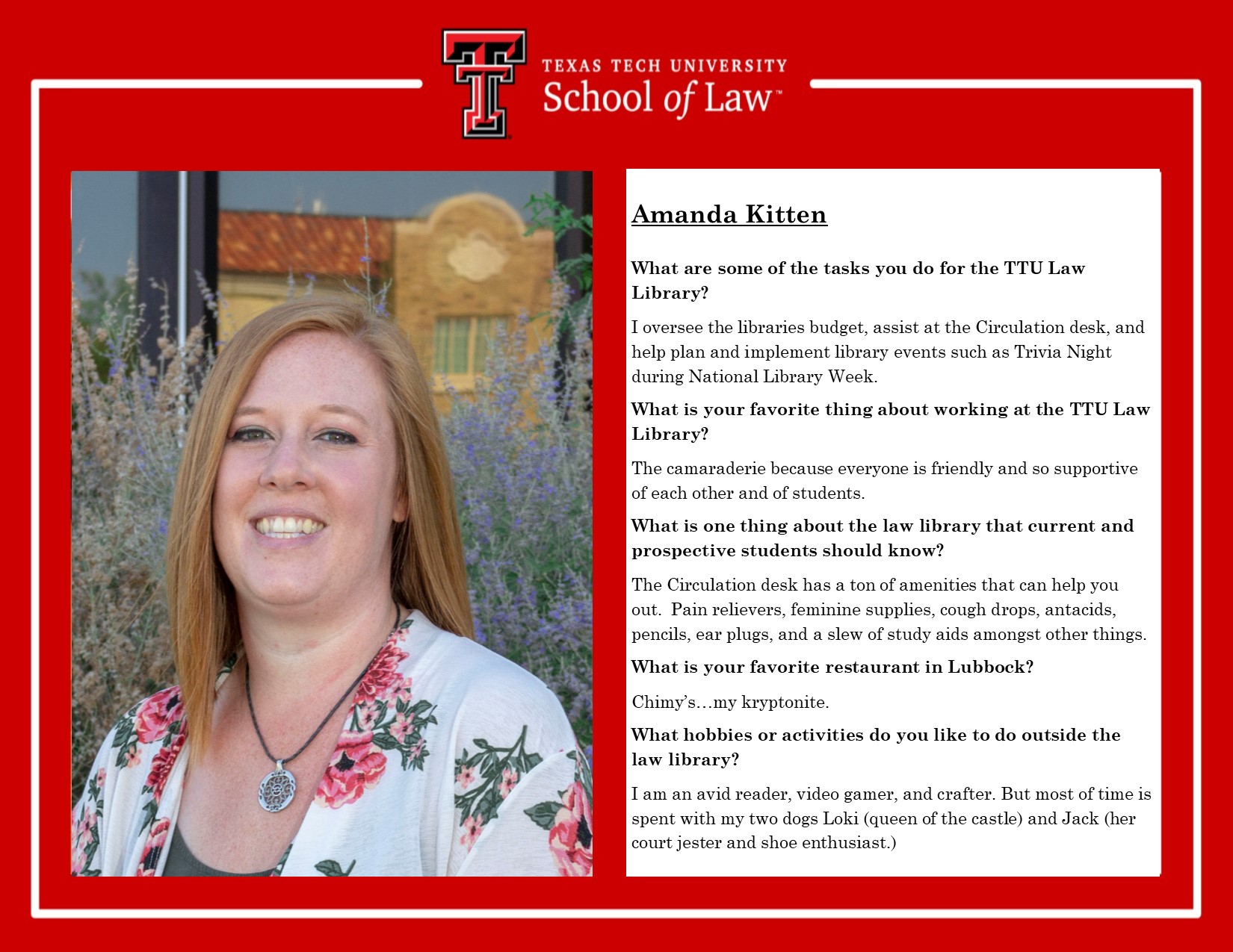 Amanda Spotlight – The Reporter